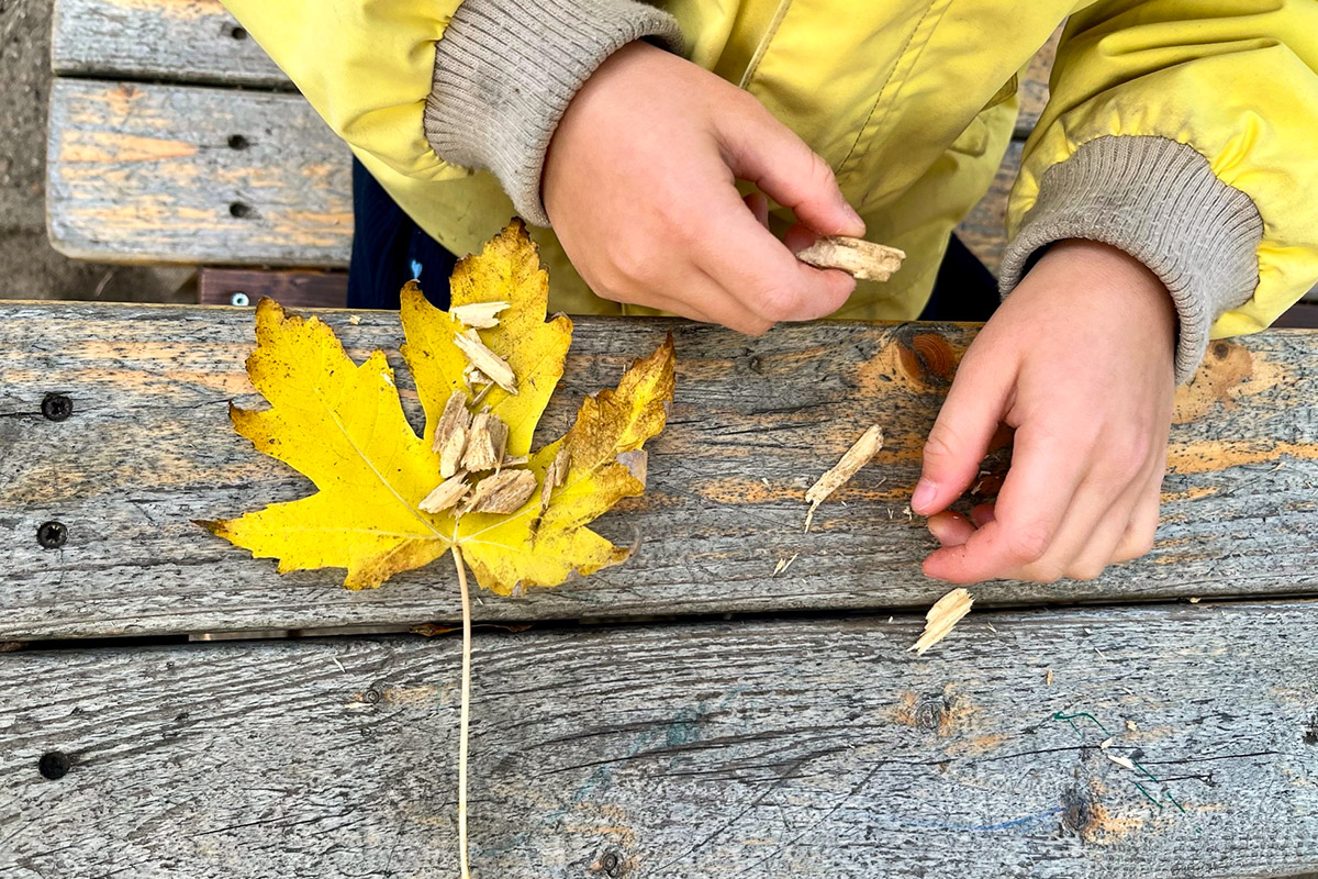 Goldener Herbst in der Kita Brüsseler Straße - INA.KINDER.GARTEN